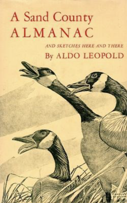 Book Review: A Sand County Almanac – Life is Too Short to Take the Fast Way
